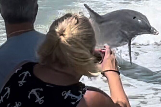 Private Best of Marco Island Dolphin Tour - FAQ