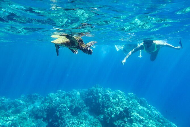 Private Big Island Snorkeling - What Makes It Stand Out