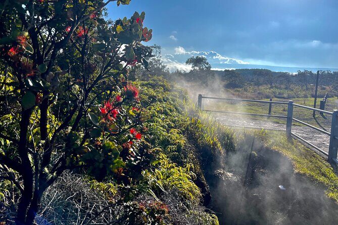 Private Big Island Tour: Coffee, Beaches, Volcanos, Waterfalls - FAQ