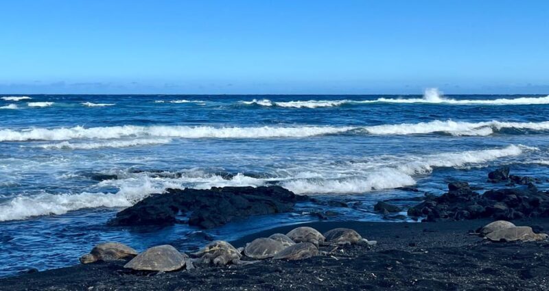 Private Big Island Tour:Coffee, Beaches,Volcanos & Waterfall - Practical Considerations: Transportation & Comfort