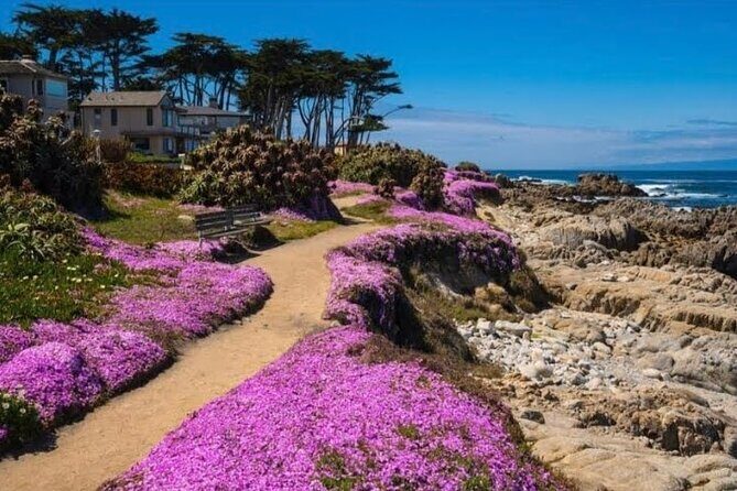 Private Big Sur and Carmel Scenic Drive from San Jose - Exploring the Private Big Sur and Carmel Scenic Drive from San Jose