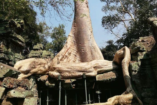 Private Bike Tour to Angkor Complex - The Sum Up: A Rewarding and Authentic Cambodian Adventure