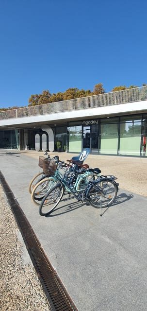 Private bike tours - Who Will Love This Experience?