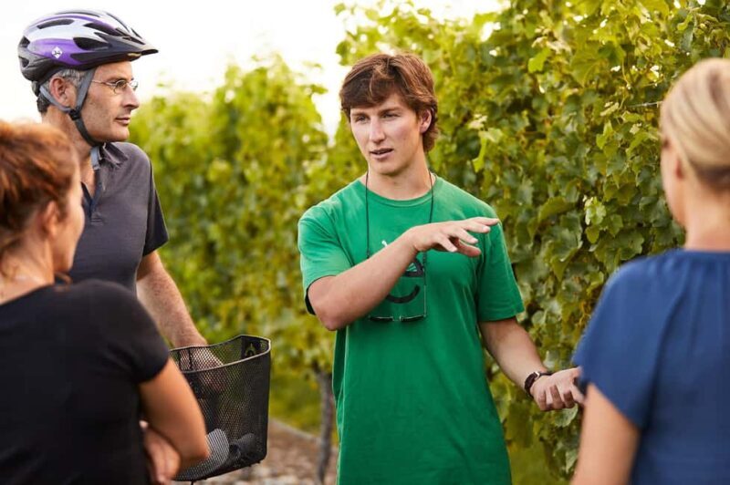 Private Biking Wine Tour (Full Day) Marlborough Region - An Overview of the Experience