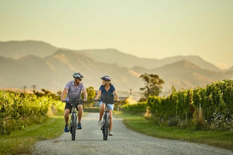 Private Biking Wine Tour (Full Day) Marlborough Region - What To Expect on the Day