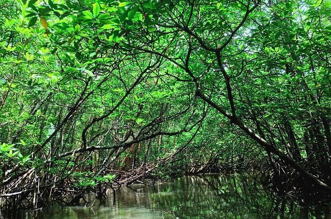 Private Bintan Half Day Tour - FAQ About the Bintan Half Day Tour