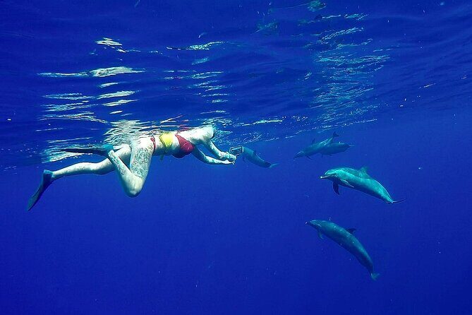 Private Biologist-Led Sea'fari (up to 10 passengers) - Setting the Scene: What to Expect