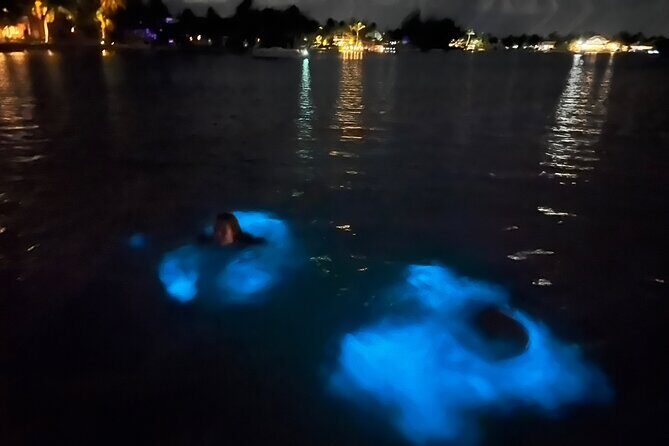Private: Bioluminescence Tour - Key Points