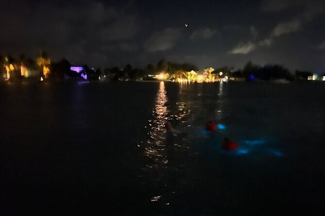 Private: Bioluminescence Tour - An Overview of the Tour Experience