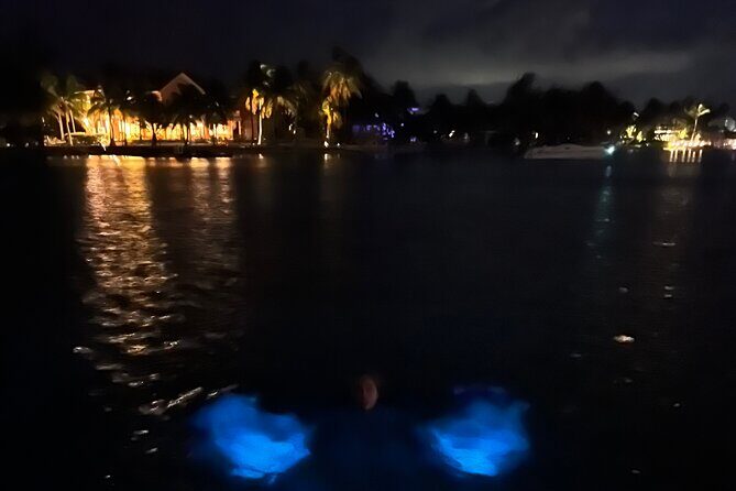 Private: Bioluminescence Tour - How the Experience Compares to Other Options