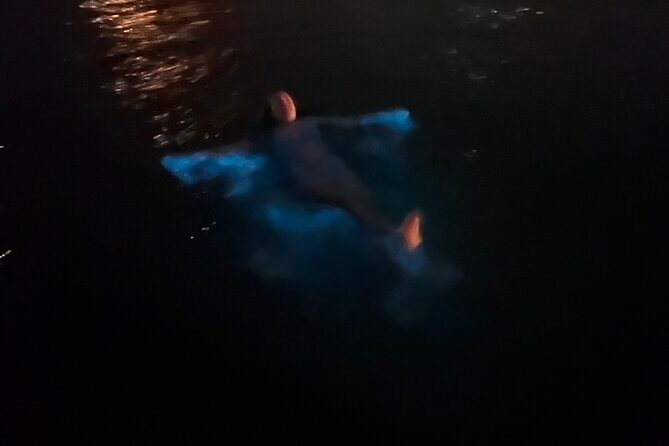 Private: Bioluminescence Tour - The Sum Up: Is It Worth It?