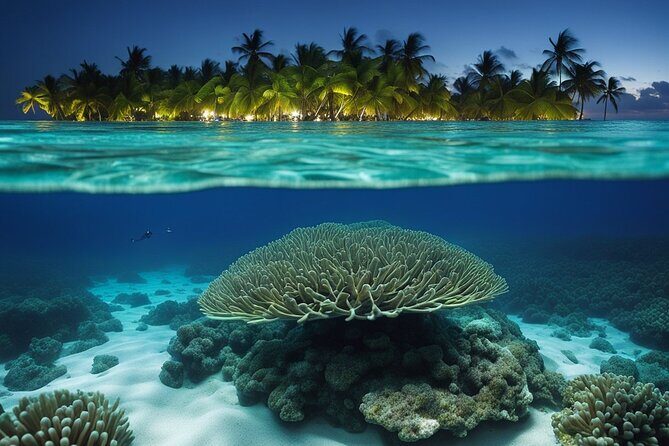 Private Bioluminescent Bay Tour - Detailed Itinerary Breakdown