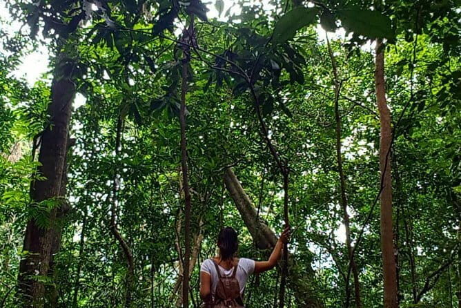 Private Bird watching and Nature trekking in Udawatta Kele Sanctuary - Unpacking the Experience: What You Can Expect from the Tour