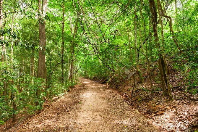 Private Bird watching and Nature trekking in Udawatta Kele Sanctuary - Practical Details and Considerations