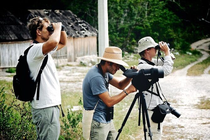 Private Birdwatching Tour in Sian Ka'an Muyil - An In-Depth Look at the Sian Kaan Muyil Birdwatching Tour