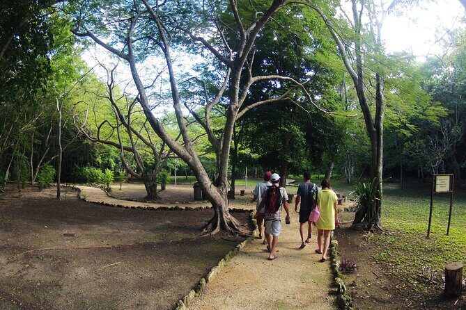 Private Birdwatching Tour in Sian Ka'an Muyil - FAQs