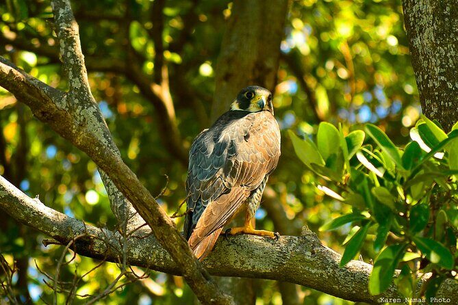 Private Birdwatching Tour in Sian Ka'an Muyil - Final Thoughts