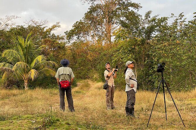 Private Birdwatching Tour with a Guide in Cozumel - Reviews and Authentic Feedback
