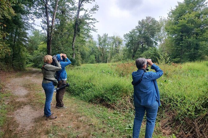 Private Birdwatching Walking Activity in Hendersonville - Detailed Look at the Itinerary
