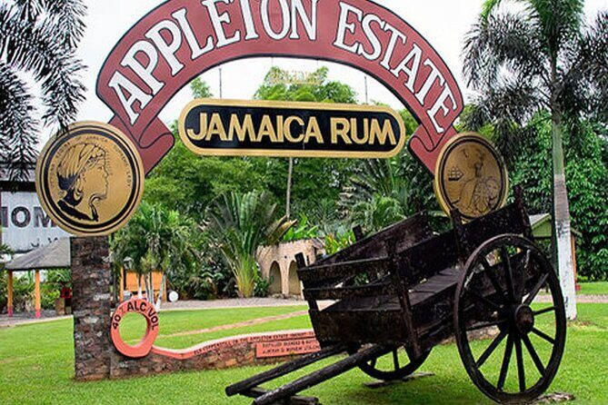 Private Black River and Appleton Rum Tour From Negril - The Sum Up