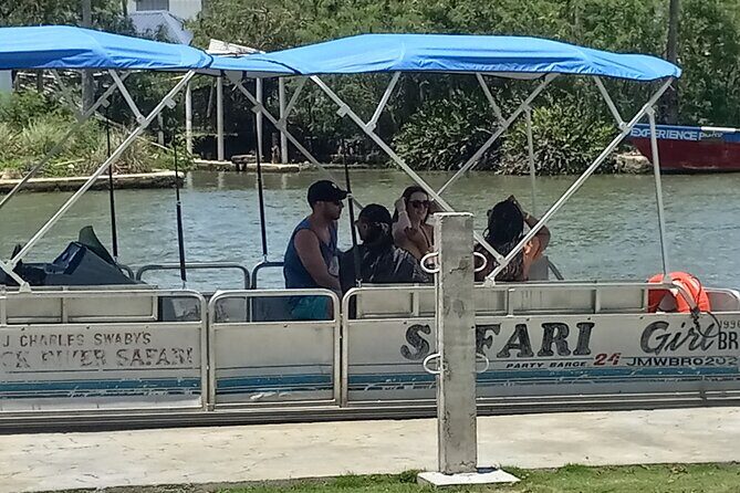 Private Black River Safari Guided Tour & YS Falls Tour - YS Falls: Nature’s Cascading Wonder