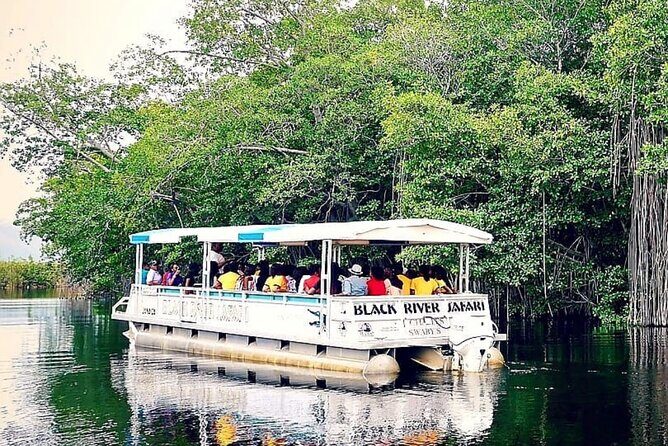 Private Black River Safari Tour from Montego Bay Resorts - What the Tour Offers