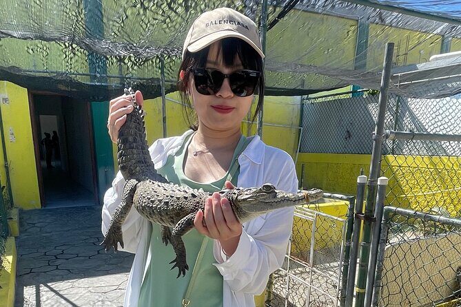 Private Black River Safari Tour from Montego Bay Resorts - Is It Worth the Price?