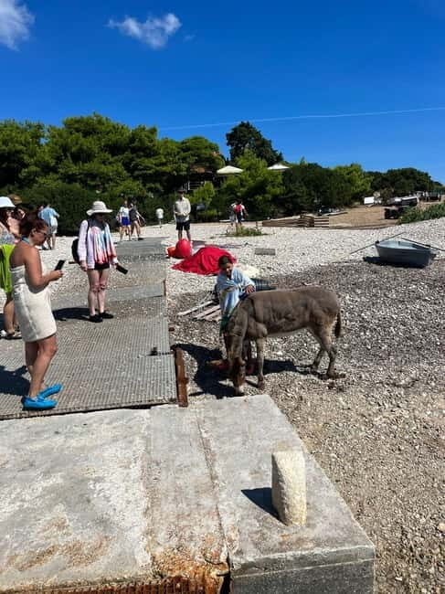 Private Blue Cave and Islands tour from Split - Final Thoughts: Who is This Tour For?