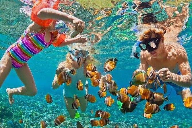 Private Blue Lagoon Snorkeling Lunch All Inclusive - Why This Tour Shines