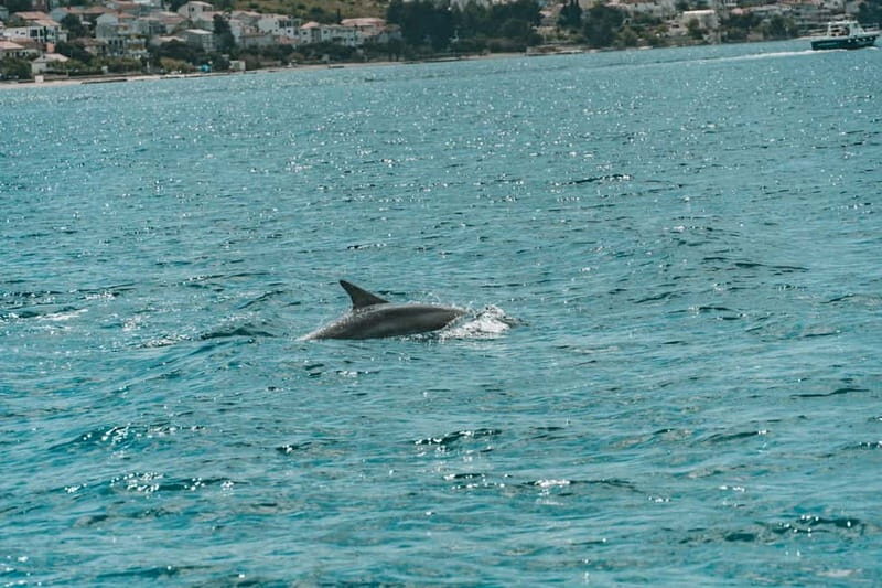 Private Blue Lagoon & Trogir, 3 Island Half-day Tour - The Sum Up: A Great Mix for Coastal Croatia