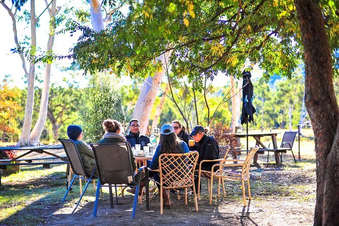 Private Blue Mountains and Winery Day-Trip from Sydney - Final Thoughts