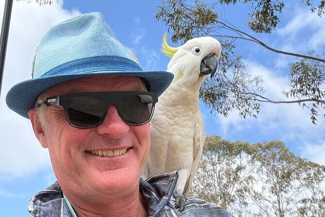 Private Blue Mountains Day Tour  Flexible and Customised - Final Thoughts