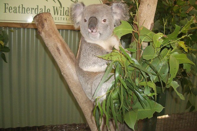 PRIVATE Blue Mountains Day Tour from Sydney with Wildlife Park and River Cruise - The Experience in Detail