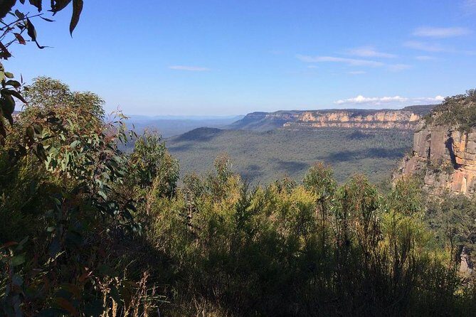 PRIVATE Blue Mountains Day Tour from Sydney with Wildlife Park and River Cruise - Who Should Consider This Tour?