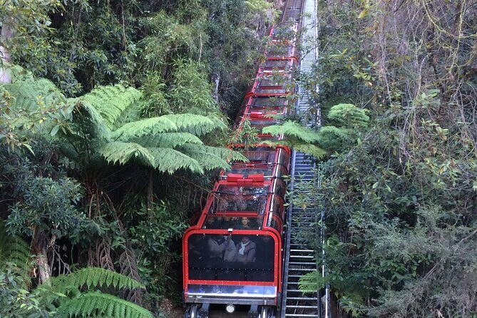 PRIVATE Blue Mountains Day Tour from Sydney with Wildlife Park and River Cruise - Final Thoughts