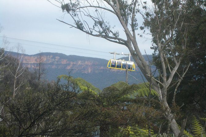 PRIVATE Blue Mountains day tour with local guide. - The Experience: A Genuine Look at What to Expect