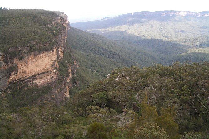 PRIVATE Blue Mountains day tour with local guide. - Authentic Feedback & Highlights from Travelers