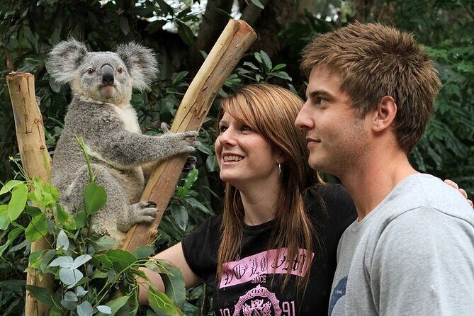 PRIVATE Blue Mountains, Scenic World & Australian Wildlife Tour - Key Points