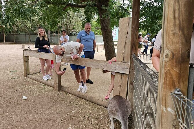 PRIVATE Blue Mountains, Scenic World & Australian Wildlife Tour - Introduction