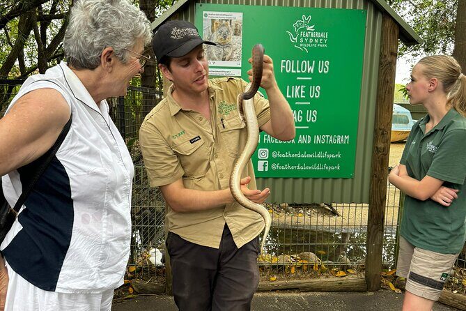 PRIVATE Blue Mountains, Scenic World & Australian Wildlife Tour - The Bottom Line: Who Is This Tour Best For?