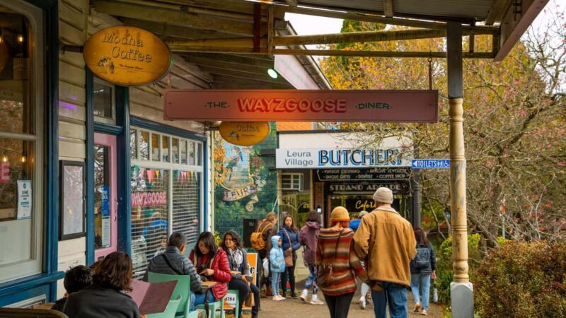Private Blue Mountains, Scenic World & Wentworth Falls Tour - Final Thoughts