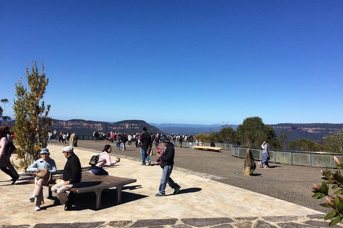 PRIVATE Blue Mountains tour & Koalas, Kangaroos, Cruise plus more - An In-Depth Look at the Blue Mountains Private Tour
