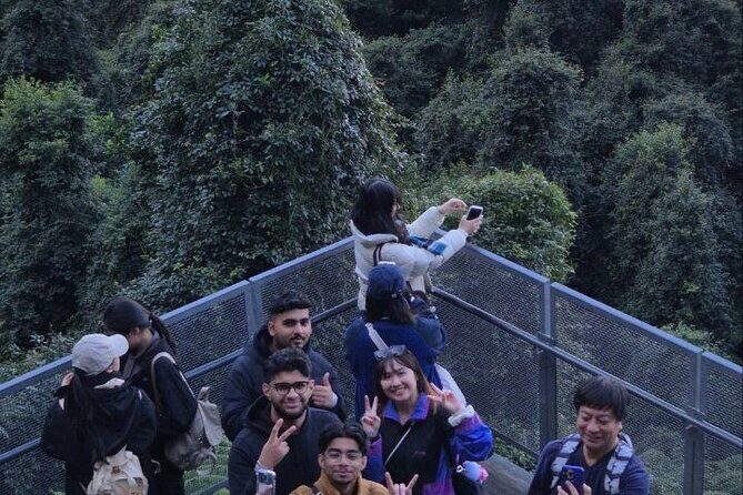 Private Blue Mountains Tour Scenic Views Wildlife and Adventure - Optional Stops: Calmsley Hill Farm or Rural Life