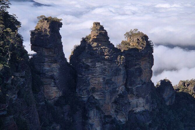 Private Blue Mountains Tour Scenic Views Wildlife and Adventure - Final Leg: Return and Recommendations