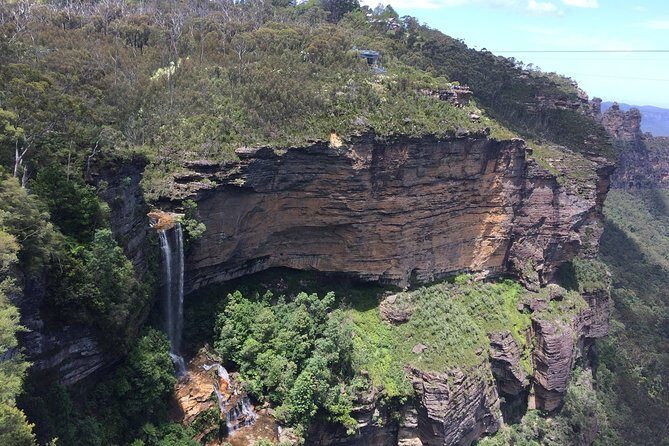 PRIVATE Blue Mountains Tour, Wildlife Park and River Cruise - An In-Depth Look at the Itinerary