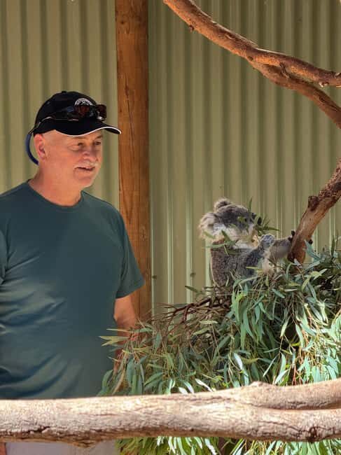 Private BlueMountains, ScenicWorld & AustralianWildlife Tour - Who Should Consider This Tour?
