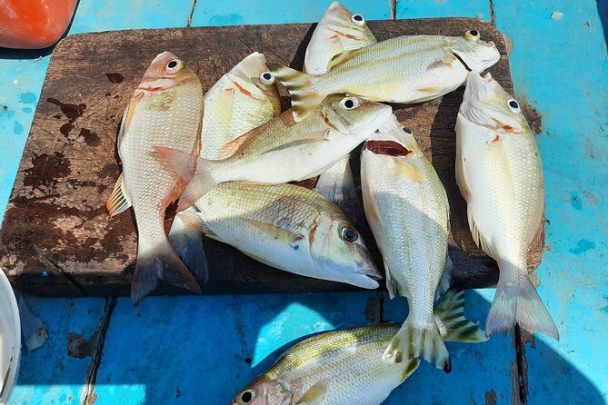 Private Boat Big Game Fishing Day Trip From Koh Samui - Who Would Appreciate This Experience Most?
