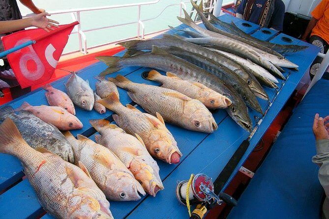 Private Boat Big Game Fishing Day Trip From Koh Samui - FAQ