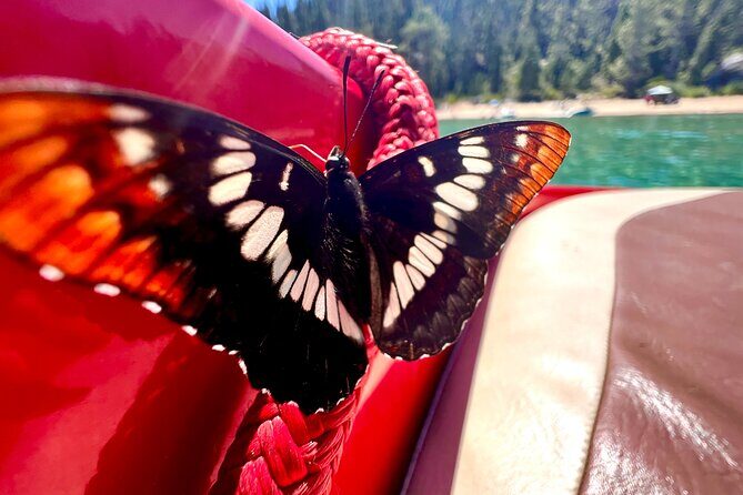 Private Boat Charter Emerald Bay in the Grateful Red - An Authentic Look at the Experience