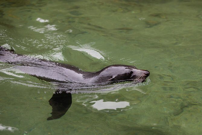 Private boat charter in Abel Tasman National Park - What You Can Expect From the Experience